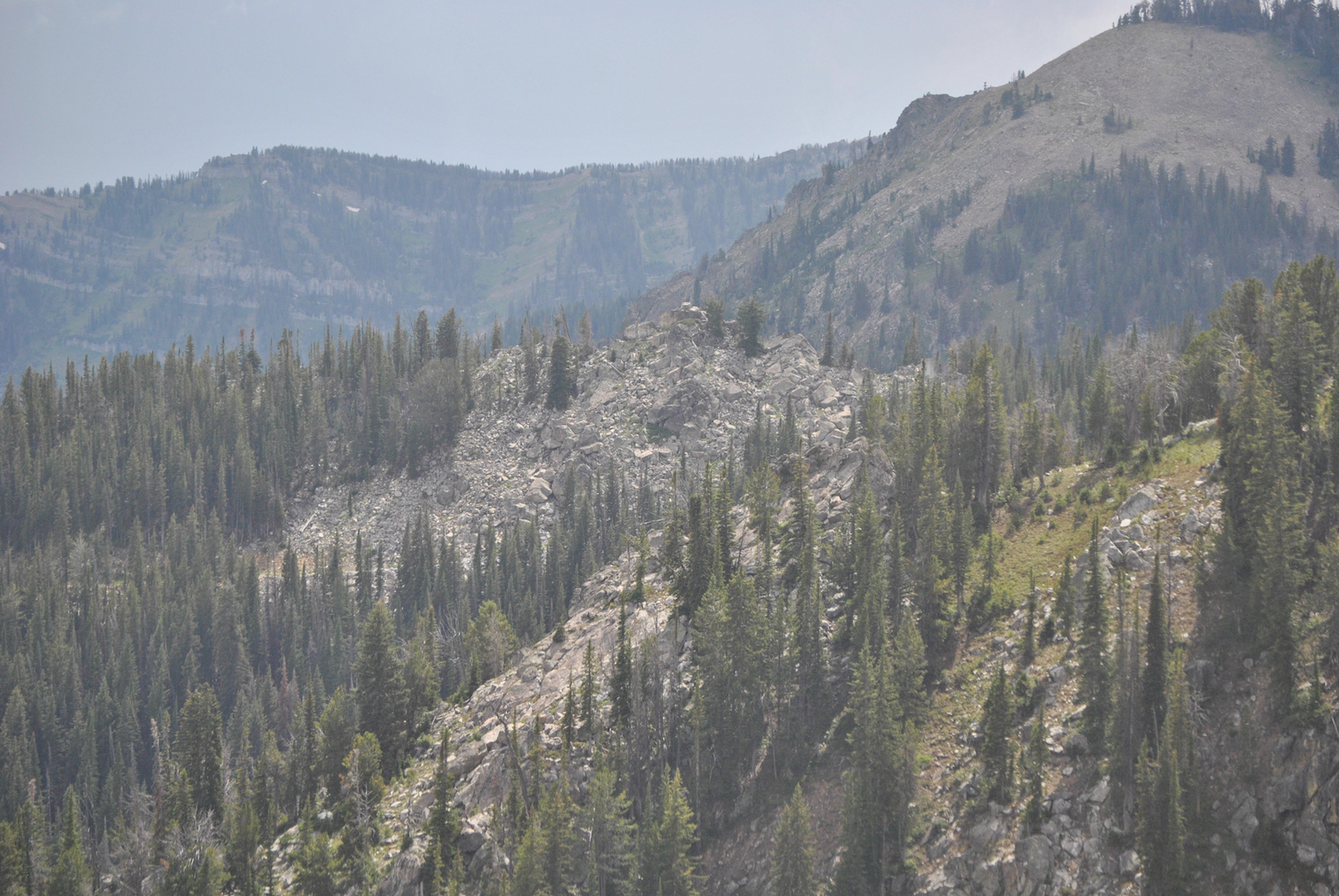 Wide Image - TUX Docs